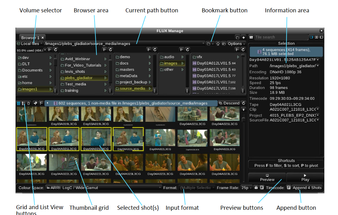 How to Import Media in Baselight (Easy Guide) - Color Culture