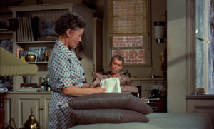 Cinematography Analysis Of Rear Window (In Depth) - Color Culture