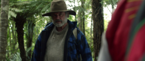 Cinematography Analysis Of Hunt for the Wilderpeople - Color Culture
