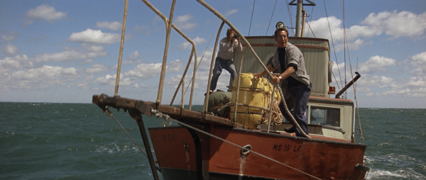 Cinematography Analysis Of Jaws (In Depth) - Color Culture