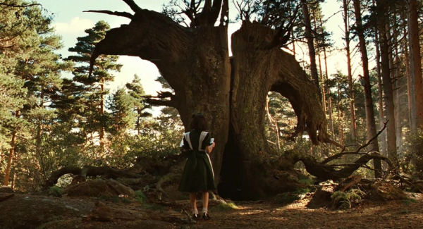 Cinematography Analysis Of Pan’s Labyrinth (In Depth) - Color Culture