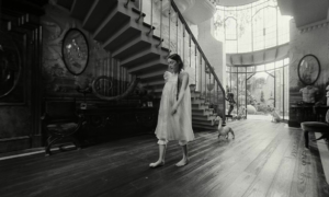 Cinematography Analysis Of Poor Things (In Depth) - Color Culture
