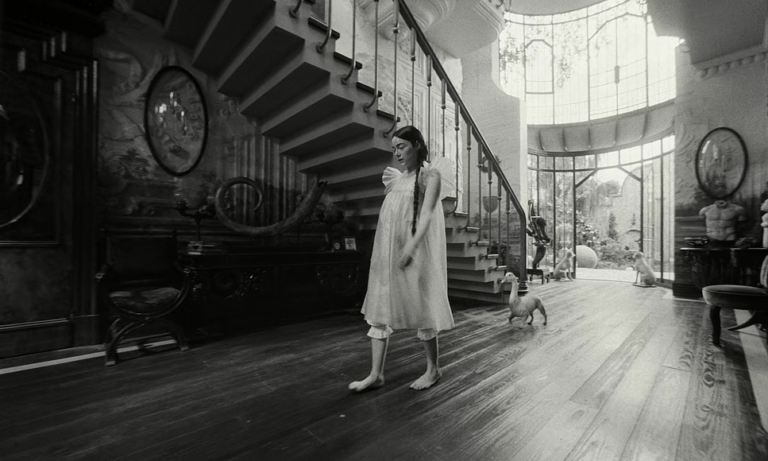 Cinematography Analysis Of Poor Things (In Depth) - Color Culture