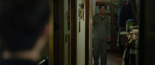 Parasite Cinematography Analysis & Stills - Color Culture