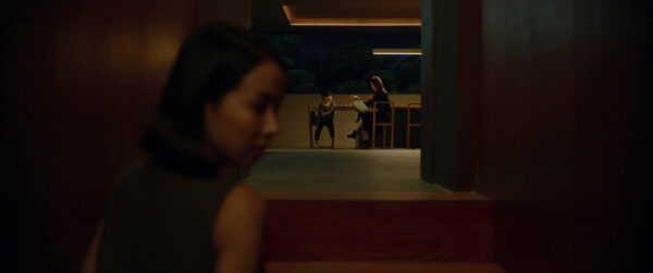 Parasite Cinematography Analysis & Stills - Color Culture