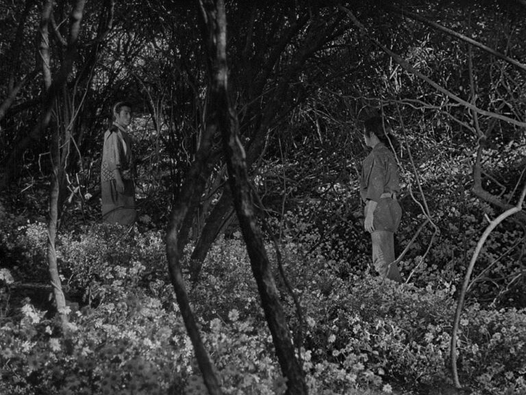 Cinematography of “Seven Samurai” Explained & Stills - Color Culture