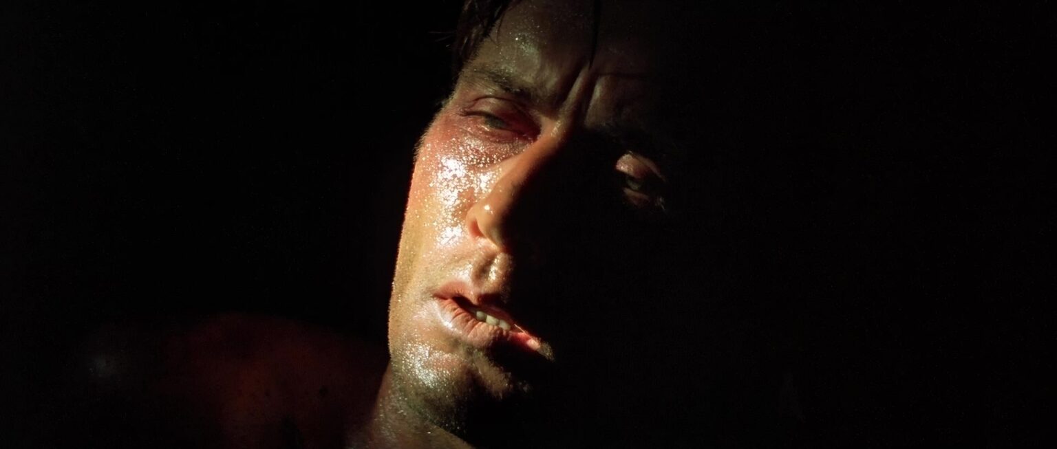 Cinematography Analysis Of Apocalypse Now & Stills - Color Culture