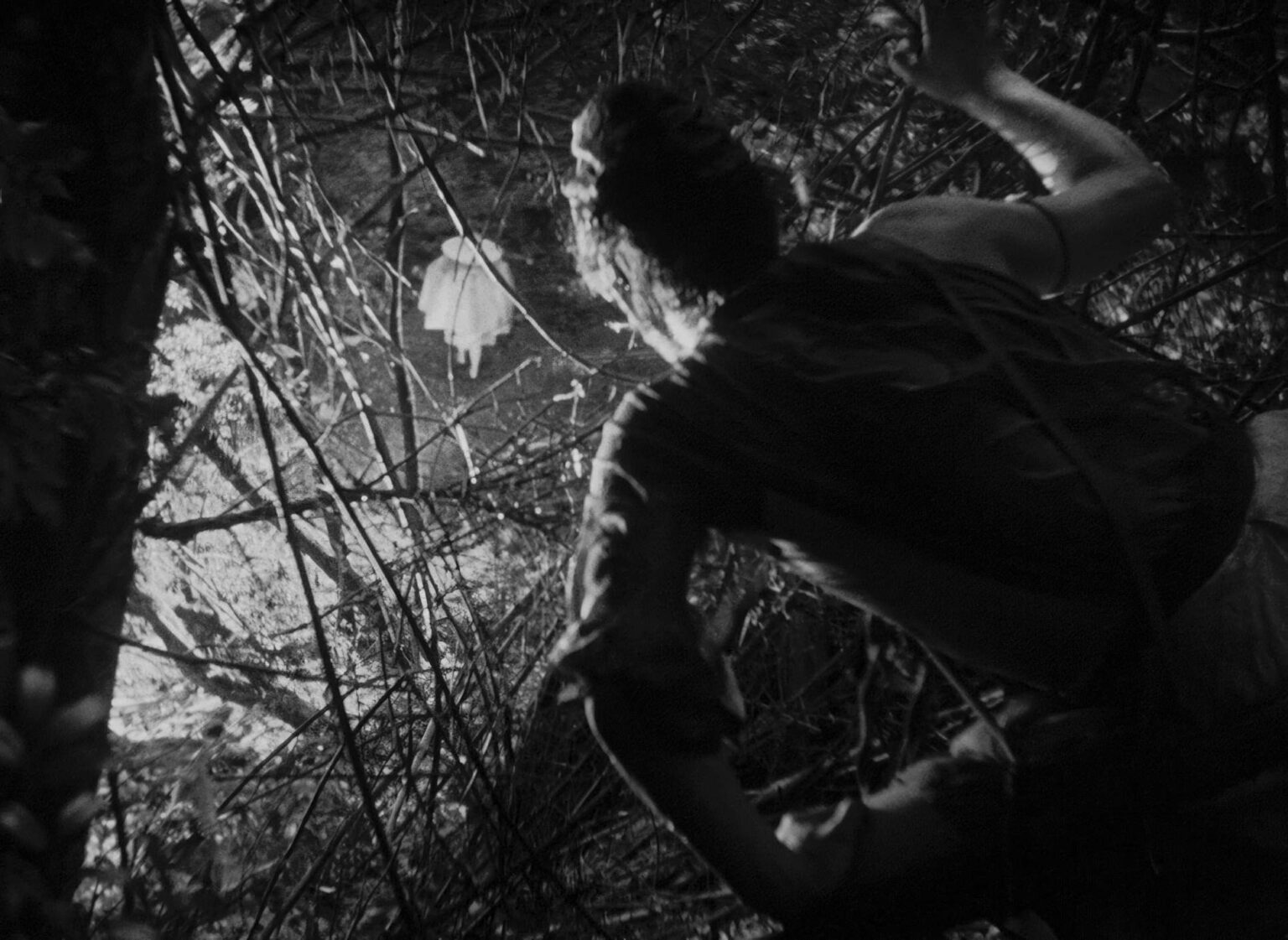 Cinematography Analysis Of Rashomon & Stills - Color Culture