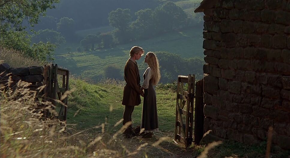 The Princess Bride (1987) - Cinematography Analysis - Color Culture