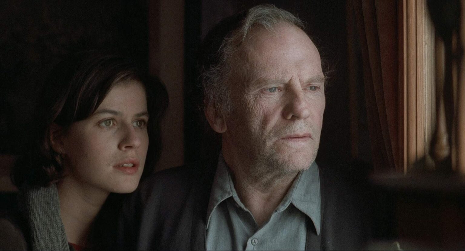 Three Colors: Red (1994) - Cinematography Analysis & Stills - Color Culture